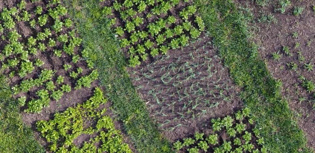 Wat is Pixelfarming - PIXELFARMING